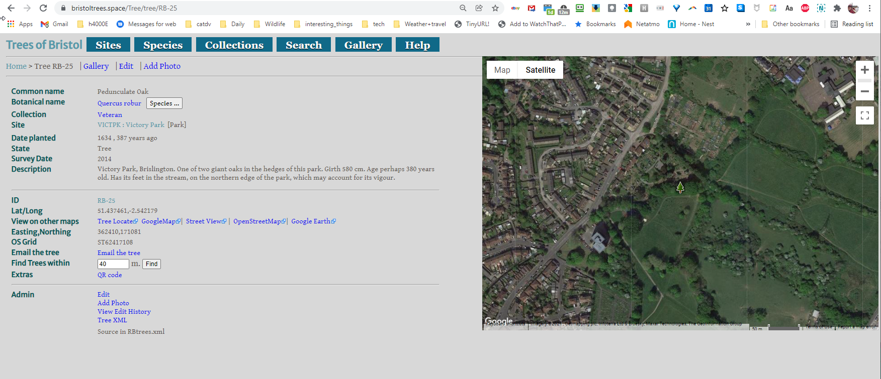 Trees and Wildlife in your local park – Greater Brislington Together